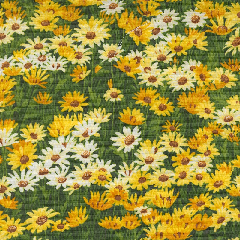 Wildflowers 2024 / Daisies in Daisy - Quilting Fabrics, Sewing Tools ...