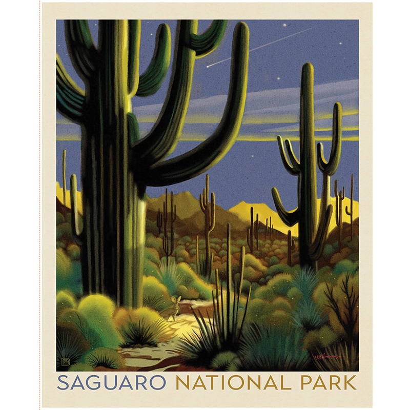 National Parks 36" Saguaro Panel Multi - Quilting Fabrics, Sewing Tools ...