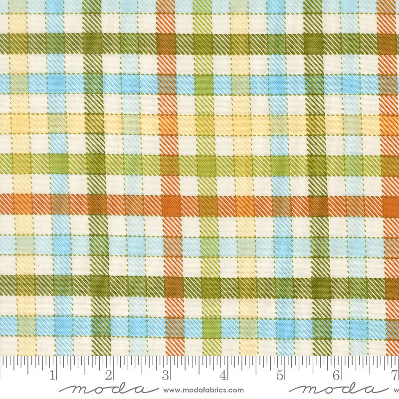 Animal Park Fun Checks & Plaids Iguana - Quilting Fabrics, Sewing Tools ...